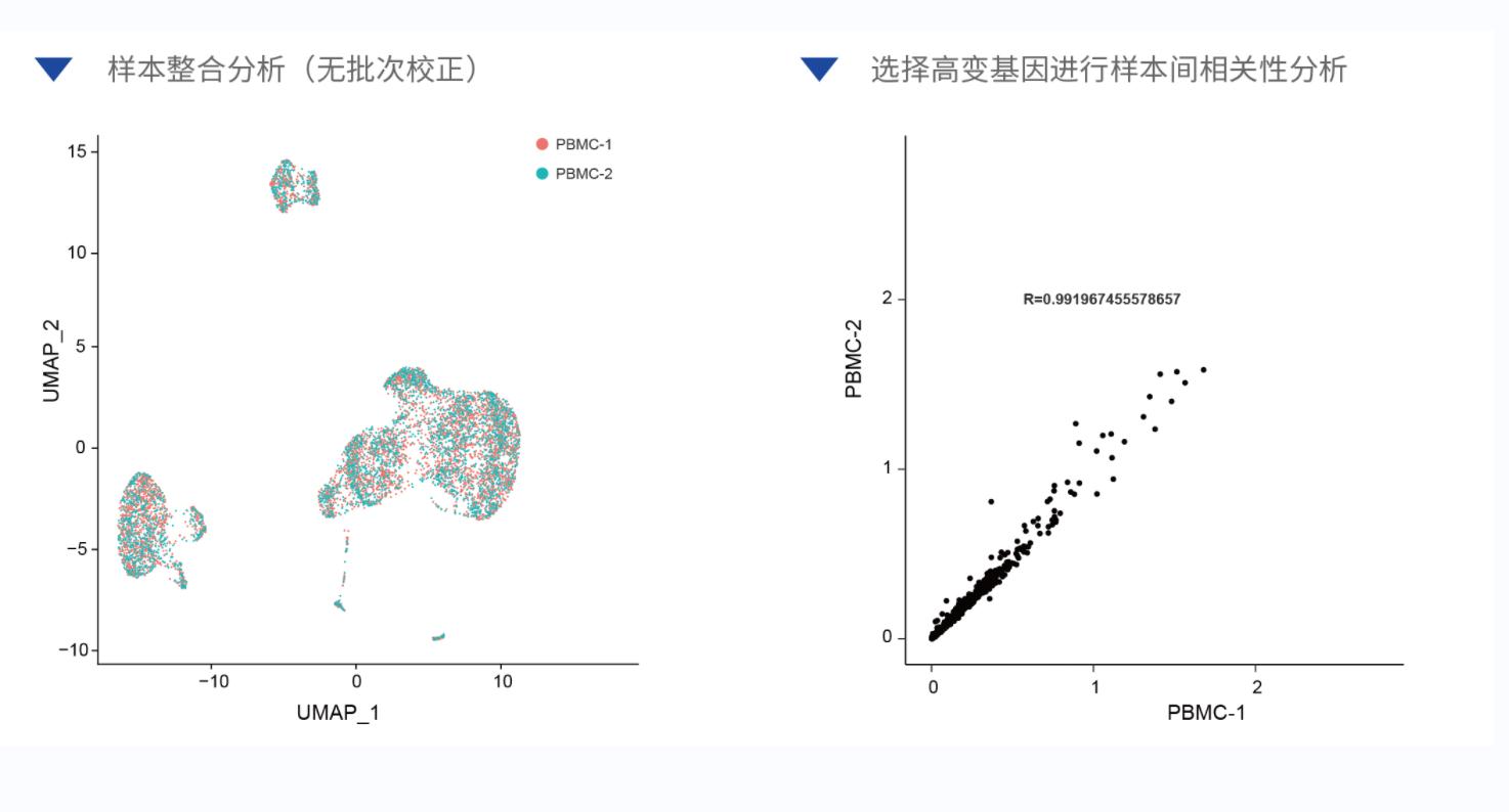 国际首款集成“降噪”功能，高通量单细胞测序平台Well-Paired-Seq重磅推出，德运康瑞自主创新再添革命性利器-苏州德运康瑞生物科技有限公司