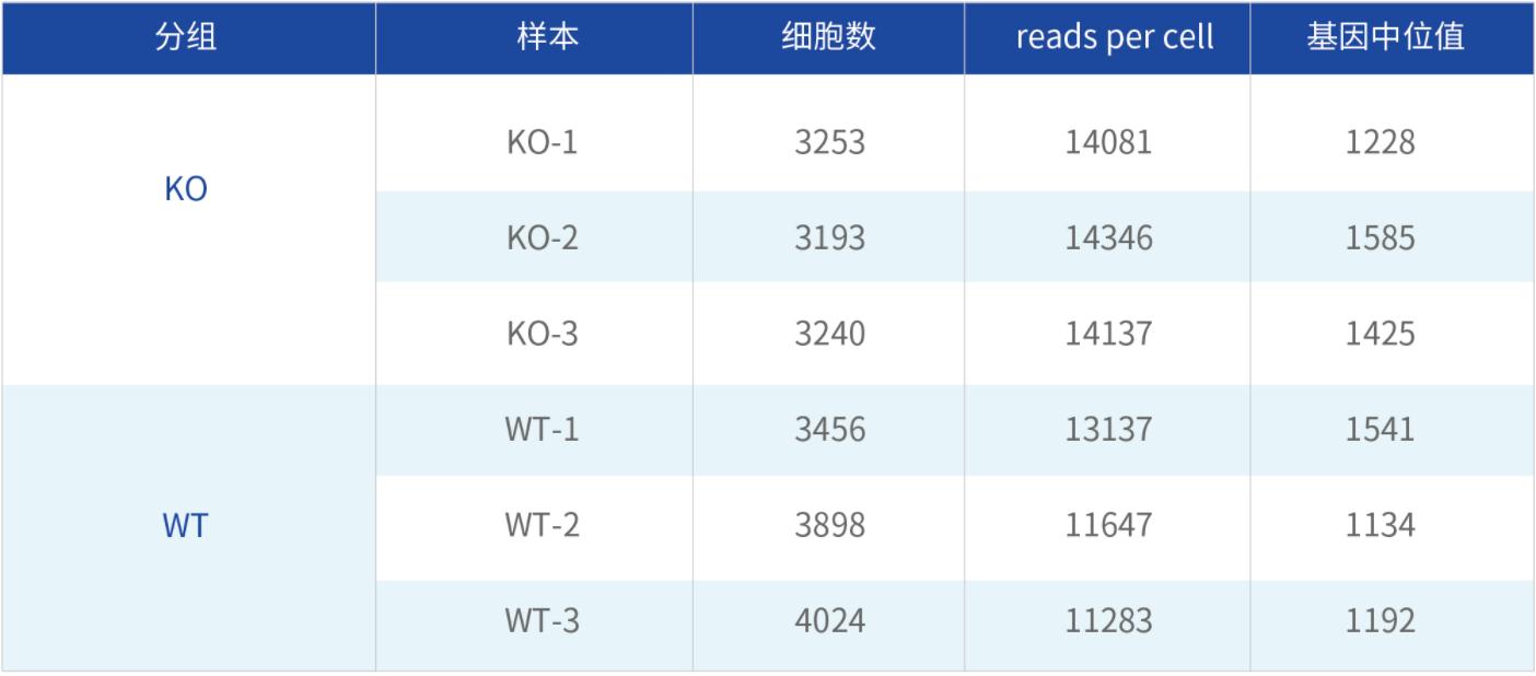国际首款集成“降噪”功能，高通量单细胞测序平台Well-Paired-Seq重磅推出，德运康瑞自主创新再添革命性利器-苏州德运康瑞生物科技有限公司