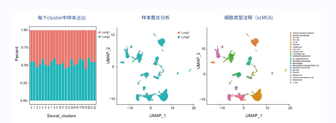 国际首款集成“降噪”功能，高通量单细胞测序平台Well-Paired-Seq重磅推出，德运康瑞自主创新再添革命性利器-苏州德运康瑞生物科技有限公司