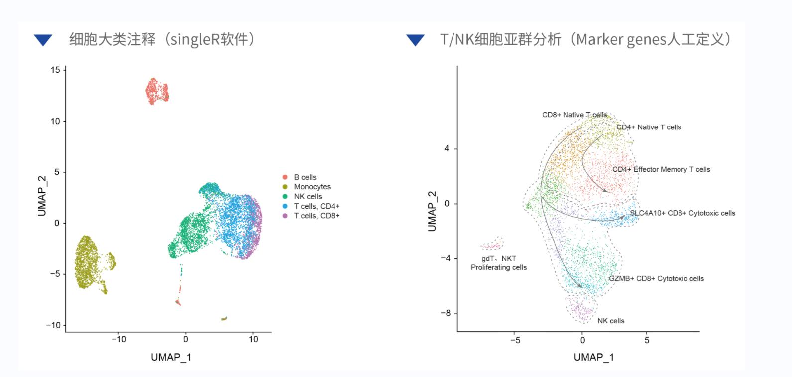 国际首款集成“降噪”功能，高通量单细胞测序平台Well-Paired-Seq重磅推出，德运康瑞自主创新再添革命性利器-苏州德运康瑞生物科技有限公司
