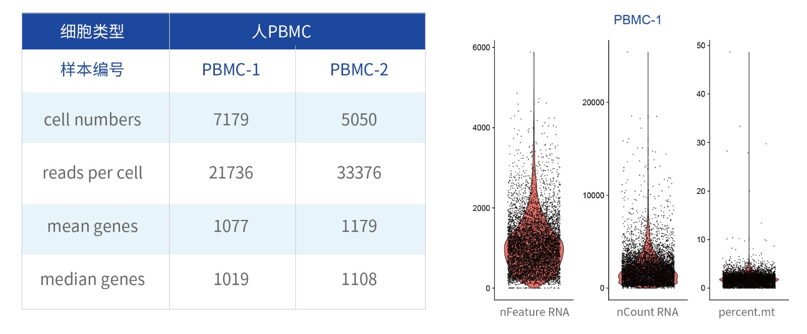 超高通量单细胞测序平台（Well-Paired-Seq）-苏州德运康瑞生物科技有限公司