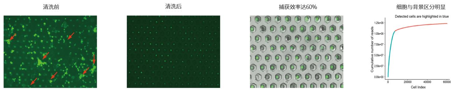 高通量单细胞测序平台（Well-Paired-Seq）-苏州德运康瑞生物科技有限公司