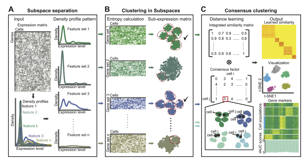 苏州德运康瑞生物科技有限公司